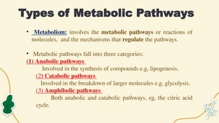 Integrated Metabolism (CHO, Lipid, Protein ).pptx