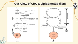 Integrated Metabolism (CHO, Lipid, Protein ).pptx