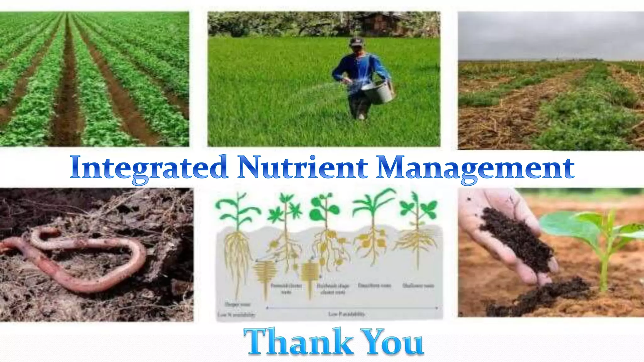 Integrated Nutrient Management (INM) | PPTX