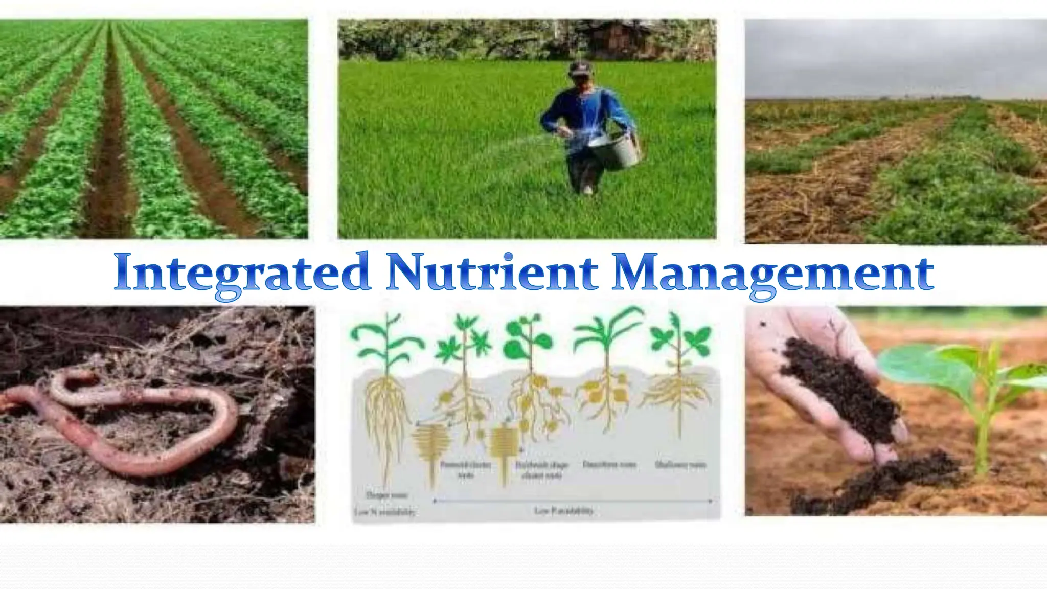 integrated nutrient management and its importance.pptx
