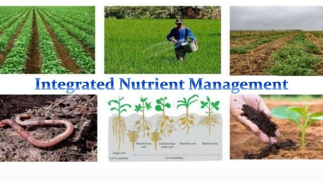 integrated nutrient management and its importance.pptx | Agriculture | Industries