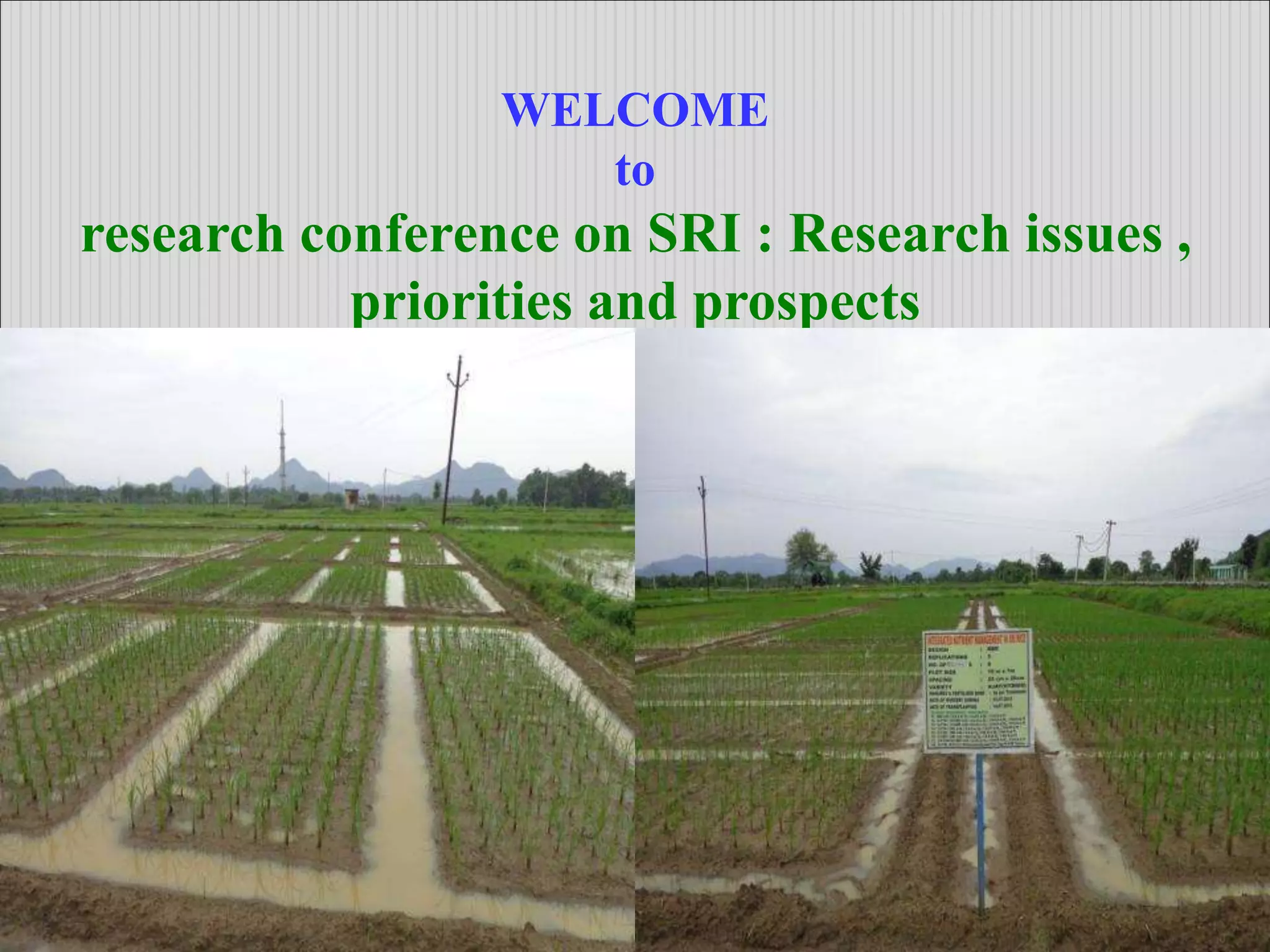 Integrated nutrient management approaches under system of rice ...