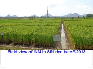 Integrated nutrient management approaches under system of rice ...