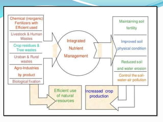 INTEGRATED NUTRIENT MANAGEMENT IN SORGHUM, PEARLMILLET ,.pptx