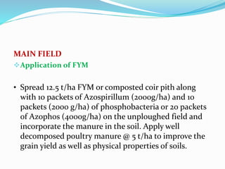 INTEGRATED NUTRIENT MANAGEMENT IN SORGHUM, PEARLMILLET ,.pptx