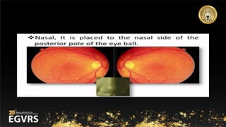 integrated optic nerve.pptx