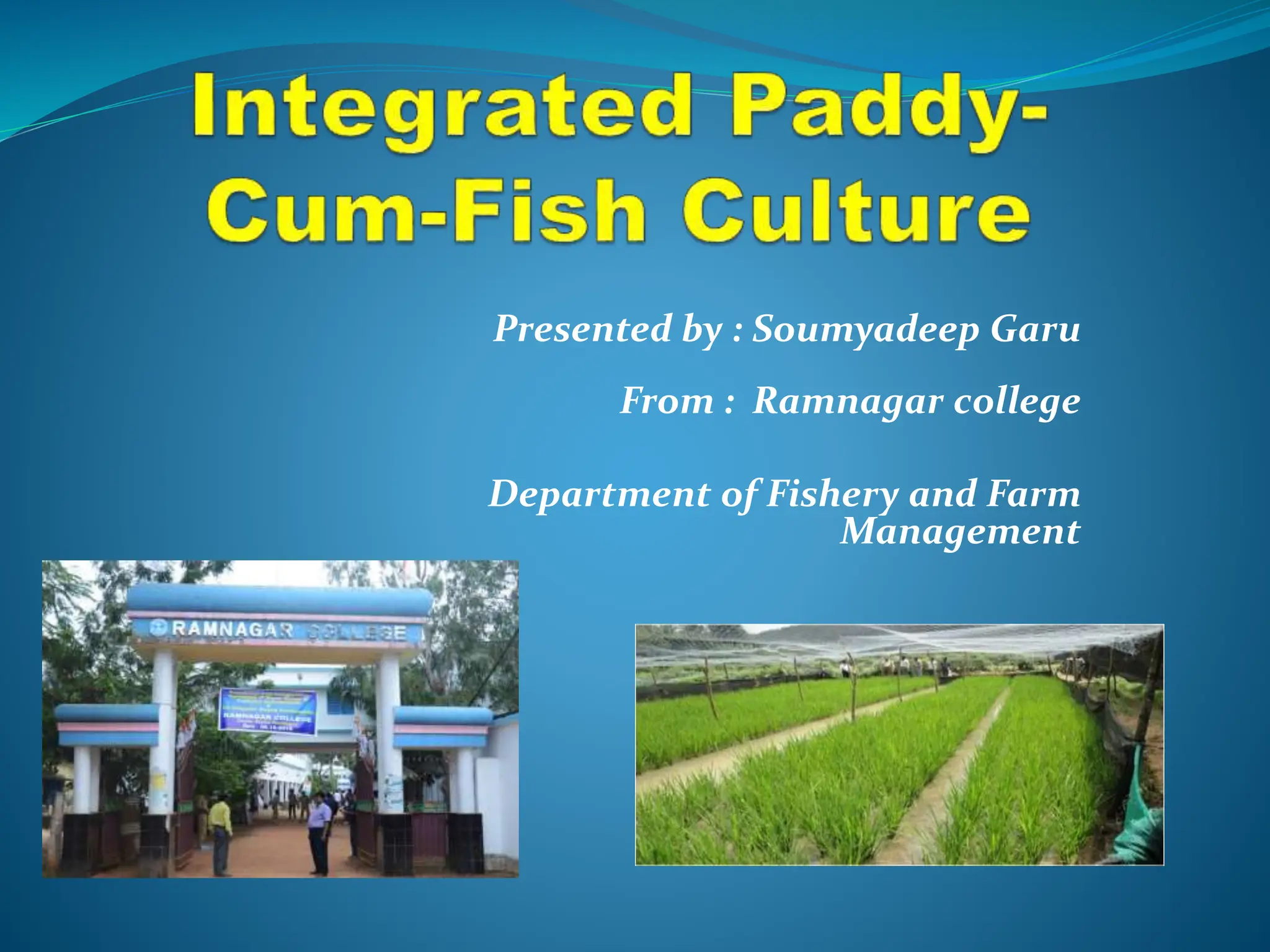 Integrated Paddy-Cum-Fish Culture 19.2.2022 PDF.pptx