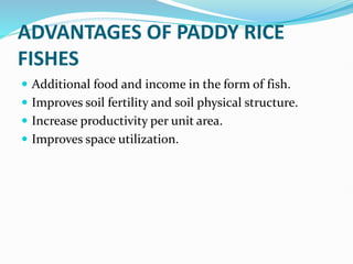 Integrated Paddy-Cum-Fish Culture 19.2.2022 PDF.pptx