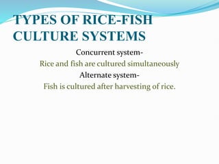 Integrated Paddy-Cum-Fish Culture 19.2.2022 PDF.pptx