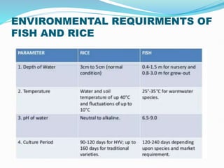 Integrated Paddy-Cum-Fish Culture 19.2.2022 PDF.pptx