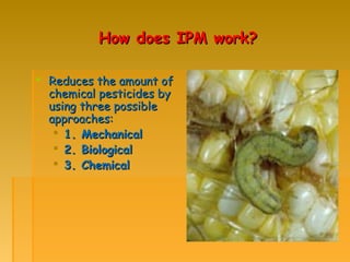 Integrated pest management By Allah Dad Khan | PPT