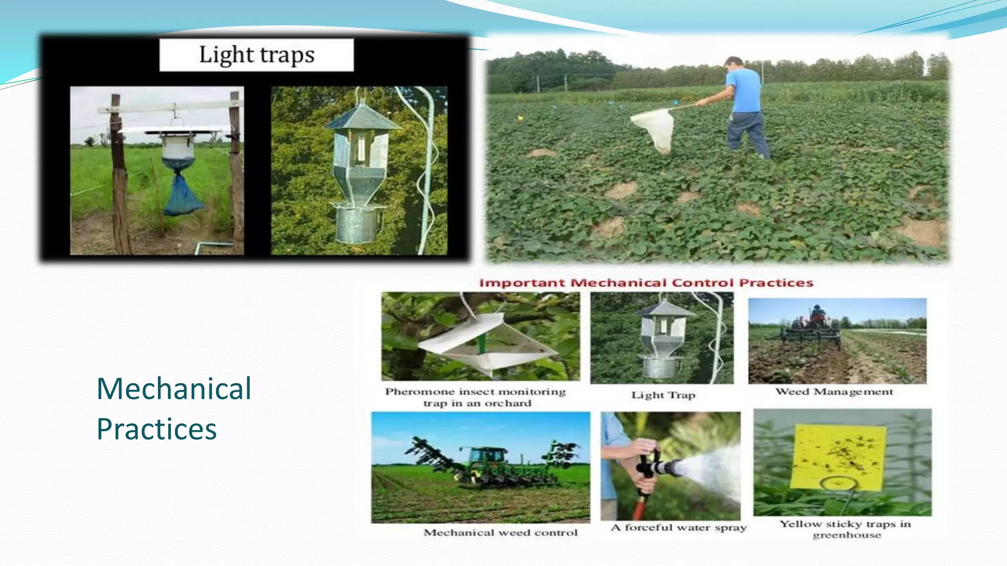 Integrated Pest Management Ipm Pptx