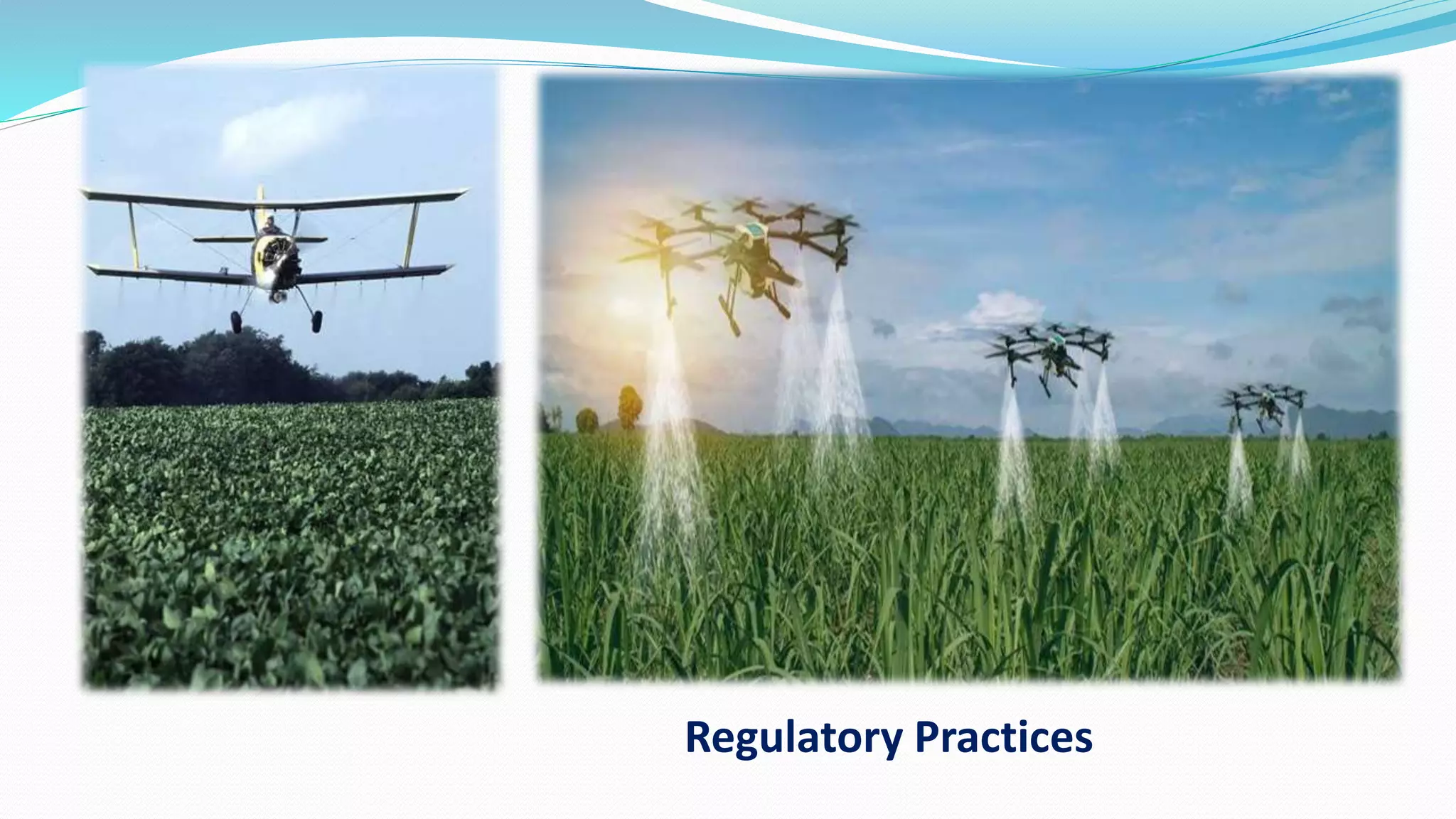 Integrated Pest Management (IPM) | PPTX