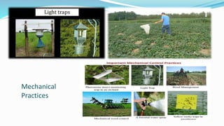 Integrated Pest Management (IPM) | PPTX