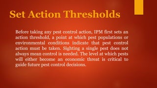 Integrated Pest Management (IPM) | PPT