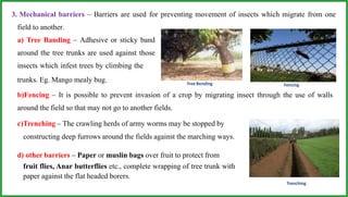 Integrated Pest Management.pptx
