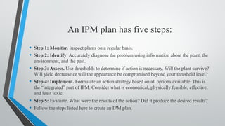 Integrated Pest Management Techniques to keep environment clean | PPT