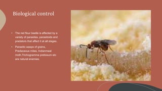 Integrated pest management assg#01 | PPT