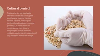 Integrated pest management assg#01 | PPT