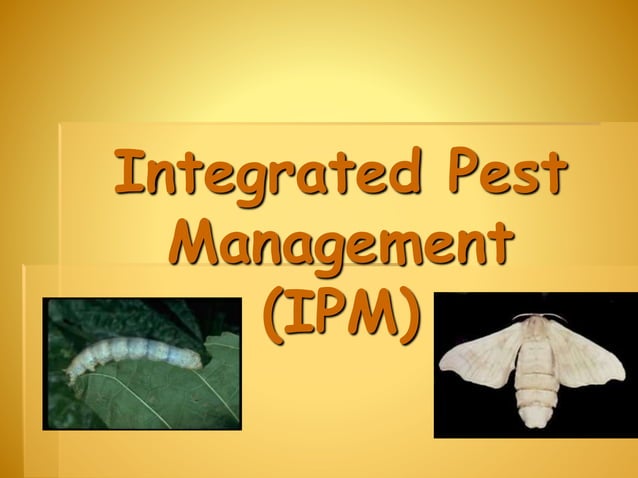 Integrated pest management (ipm) | PPTX | Agriculture | Industries