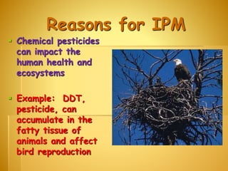 Integrated pest management (ipm) | PPTX | Agriculture | Industries