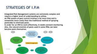 INTEGRATED PEST MANAGEMENT K R. pptx | PPTX