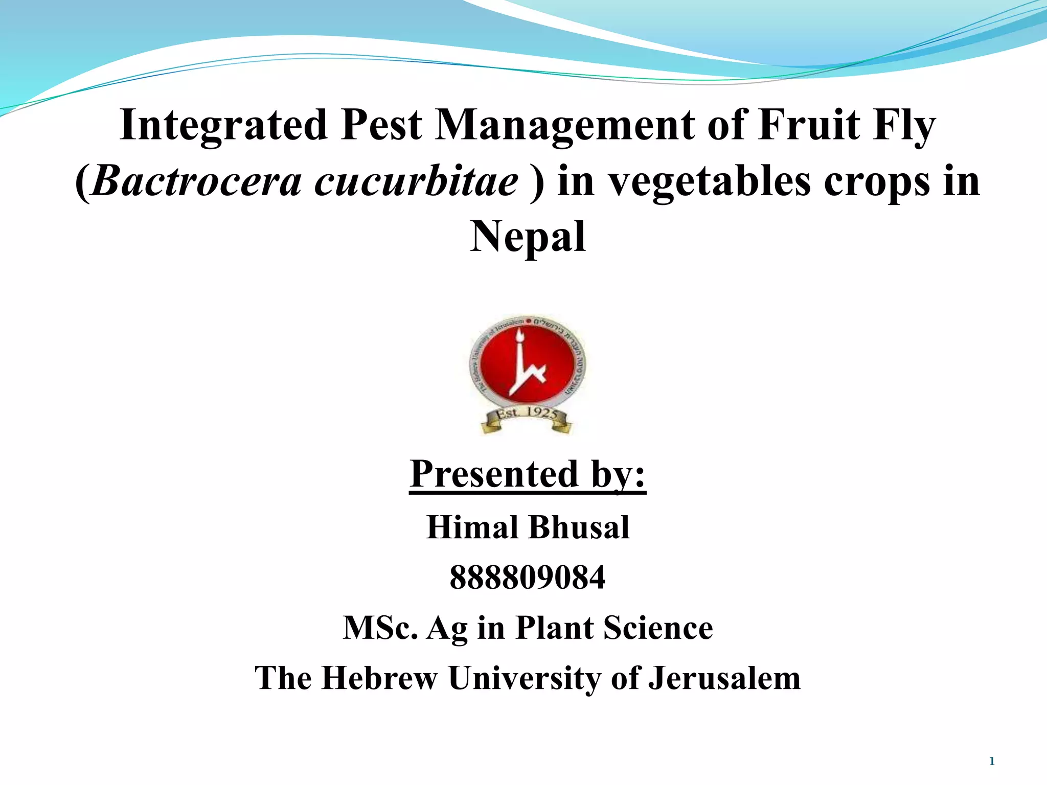 Integrated pest management of fruit fly (bactrocera cucurbitae ) in vegetables crops nepal,himal ...