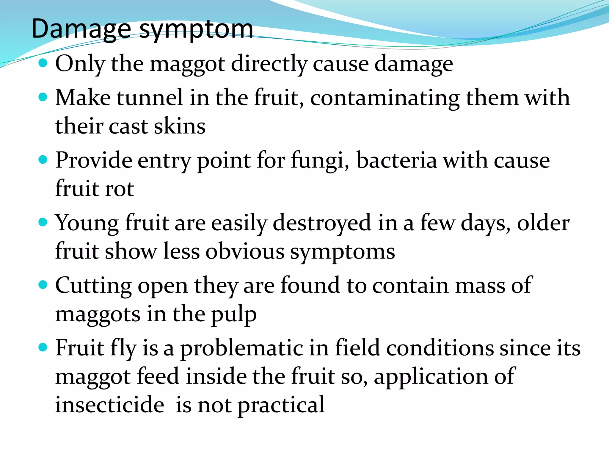 Integrated pest management of fruit fly (bactrocera cucurbitae ) in vegetables crops nepal,himal ...