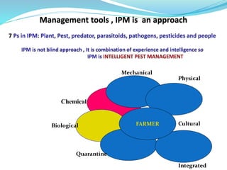Integrated pest management of fruit fly (bactrocera cucurbitae ) in vegetables crops nepal,himal ...