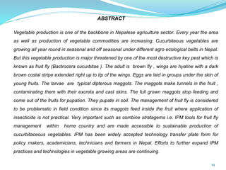 Integrated pest management of fruit fly (bactrocera cucurbitae ) in vegetables crops nepal,himal ...