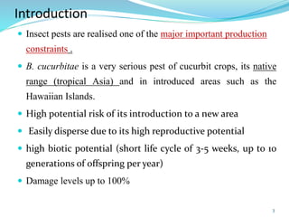 Integrated pest management of fruit fly (bactrocera cucurbitae ) in ...
