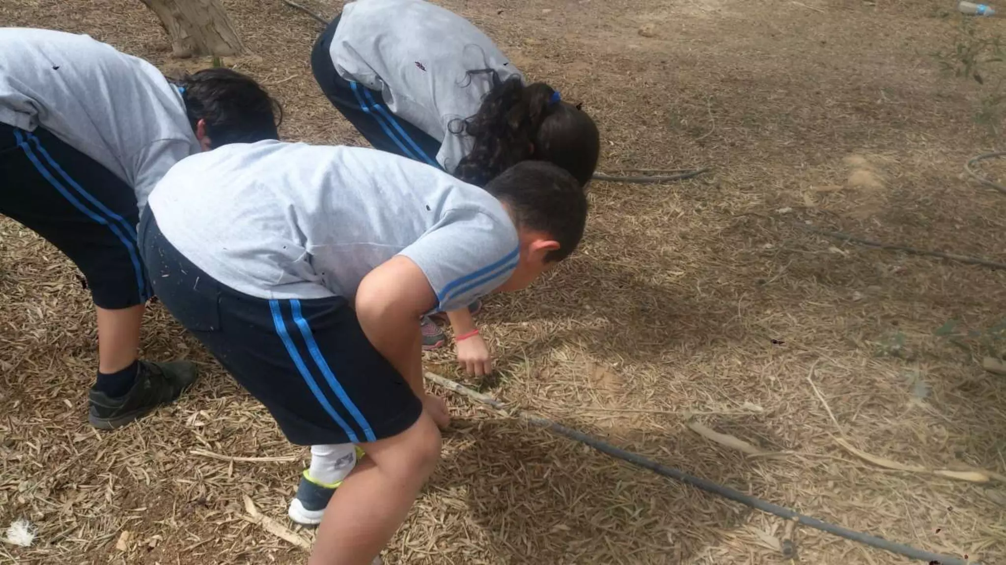 Integrated project g3 | PPT