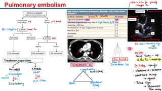 INTEGRATED RESPI 2.0 (1).pdfjdjdjjdjjejd | PDF