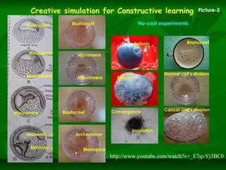Integrated science laboratory for holistic and constructive learning dr ...