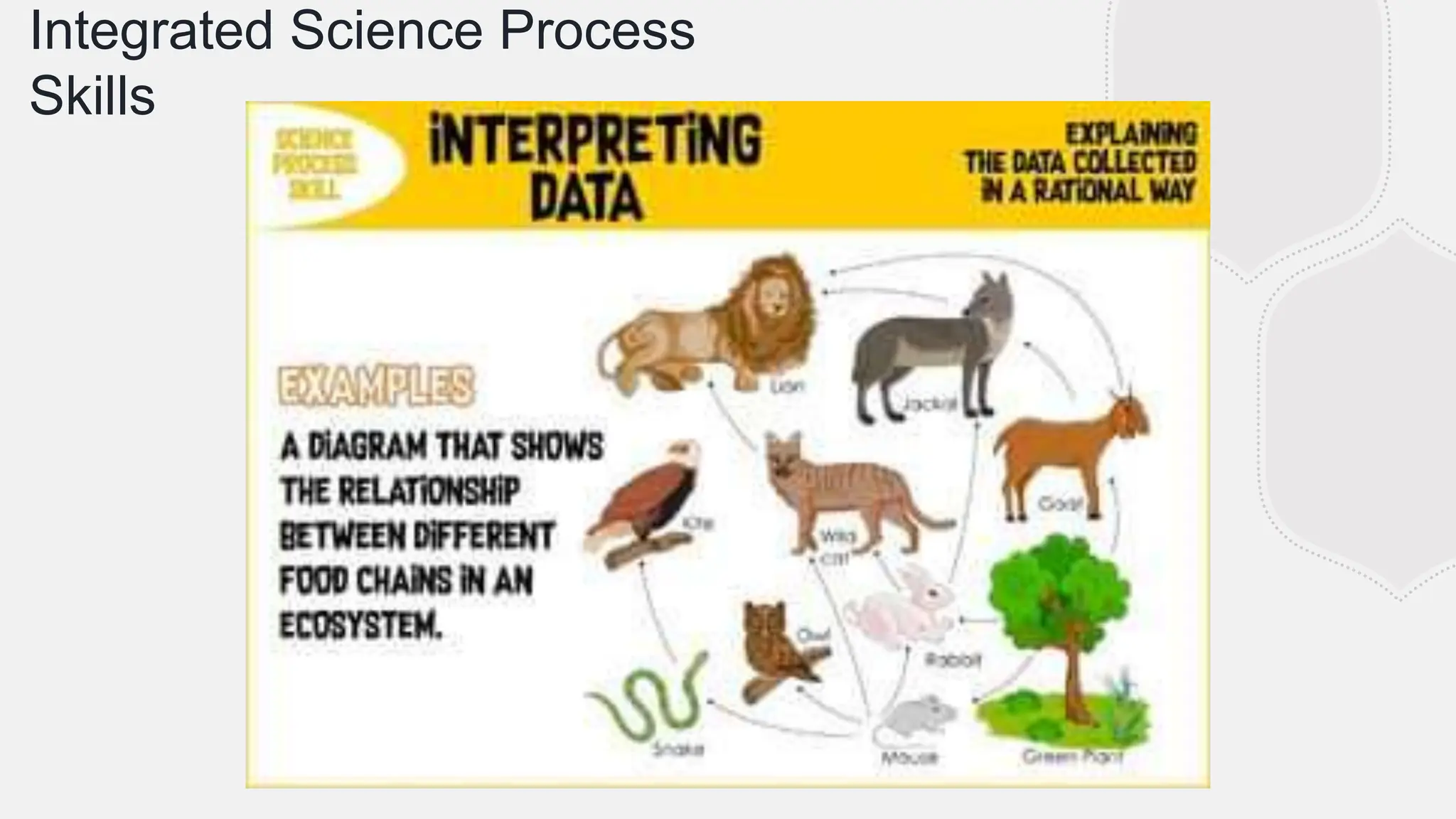 Integrated Science Process Skills_2023.pptx