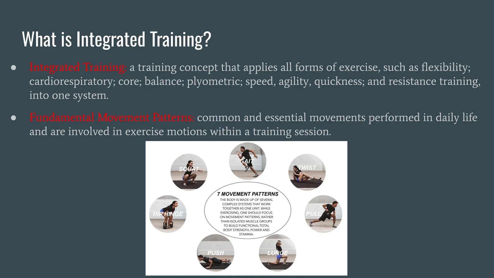 Integrated Training and Exercise Regimes | PDF