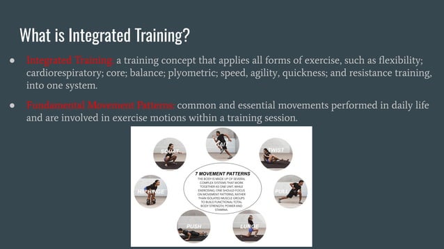 Integrated Training and Exercise Regimes | PDF