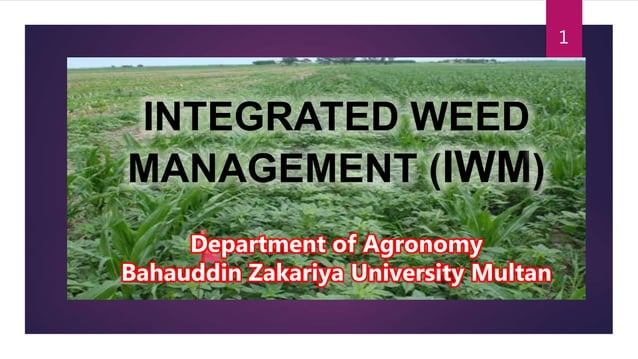 Integrated weed management (iwm) | PPTX