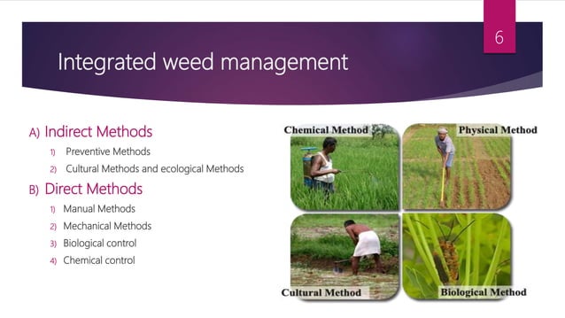 Integrated weed management (iwm) | PPTX