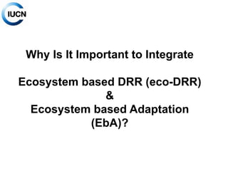 Integrating CCA and DRR_CamilleBuyck | PPTX