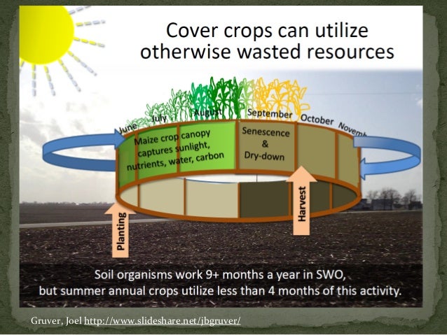 Integrating livestock into cropping system Integrating livestock into cropping system