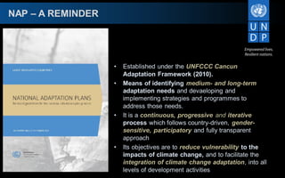 Integrating climate change into national planning | PDF