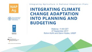 Integrating climate change risks into planning and budgeting | PPTX