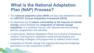 Integrating climate change risks into planning and budgeting | PPTX
