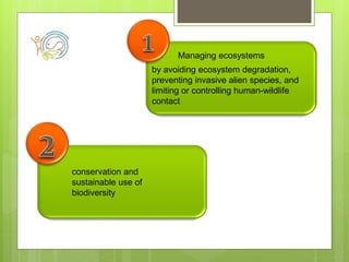 Integrating health and biodiversity | PPT
