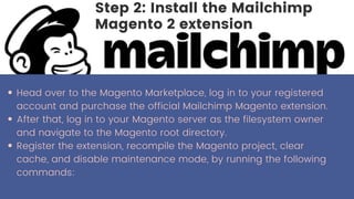 Integrating Mailchimp with Magento 2- Step by Step Process.pdf | Email | Internet