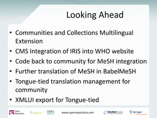 Integrating multilingual capabilities into an institutional repository | PPT