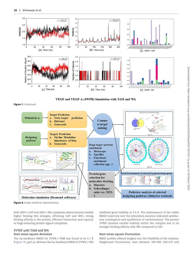 Integrating network pharmacology and in silico analysis.pdf