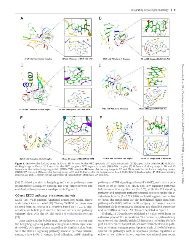 Integrating network pharmacology and in silico analysis.pdf