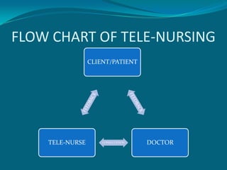 Integrating Tele Nursing Into Home Care Nursing Services Power Point | PPTX